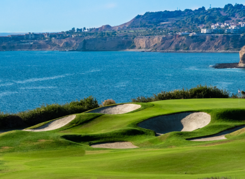 Home - The National Italian American Foundation