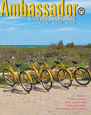 Ambassador Magazine Vol 31 No 3 - The National Italian American Foundation