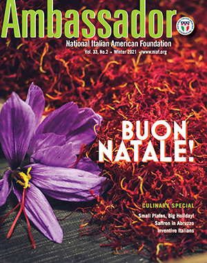 Ambassador Magazine Vol 33 No 2 - The National Italian American Foundation